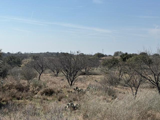 1919 N State Hwy, Unit 1, Llano, TX 78643 | MLS #103950