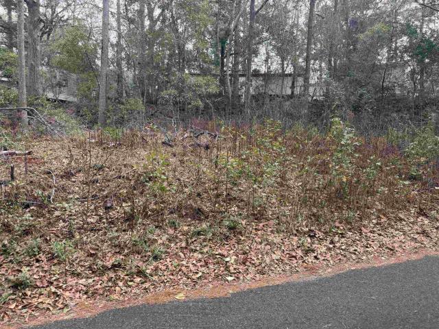 1919 Sika Deer Dr, Tallahassee, FL 32304 | MLS #395825 | Compass