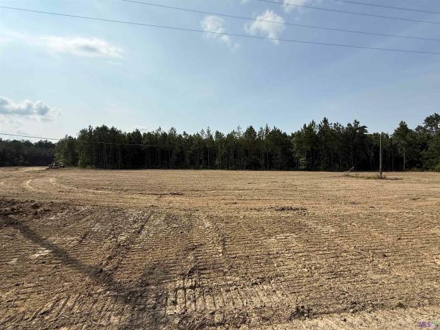 19103 La Hwy, Livingston, LA 70754 | MLS #BR2025010 | Compass