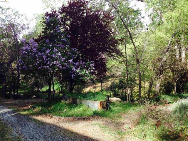 19100 Andra Dr, Sonora, CA 95370 | MLS #41131