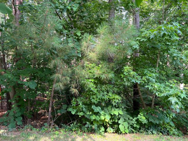 19102 Stone Brook, Chapel Hill, NC 27517 | MLS #10040