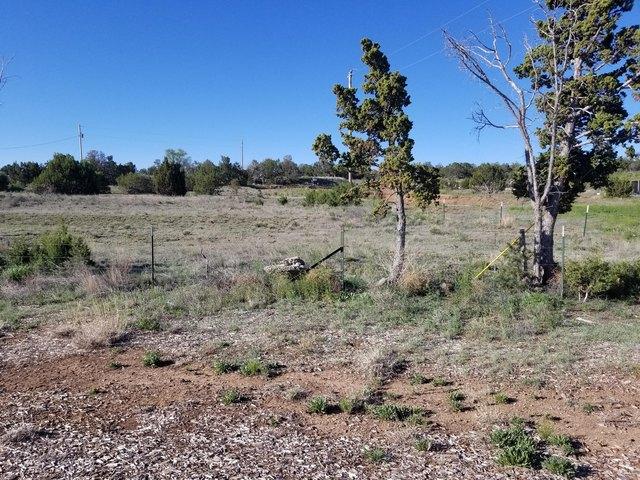 1910 Old Us 66, Edgewood, NM 87015