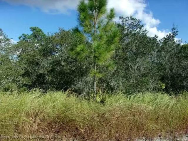 1910 BARN OWL ST, SEBRING, FL 33870 Single Family Residence Fo.