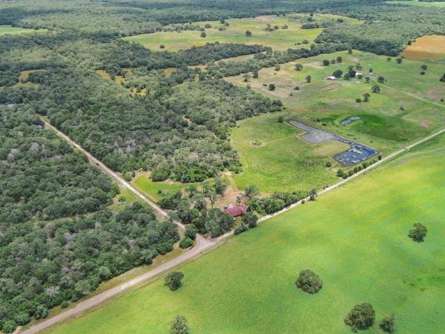 1910 E County Road 415