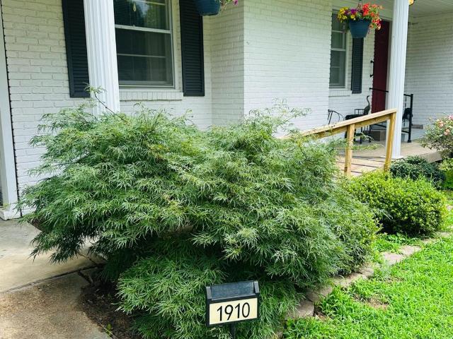 1910 Sherwood Drive