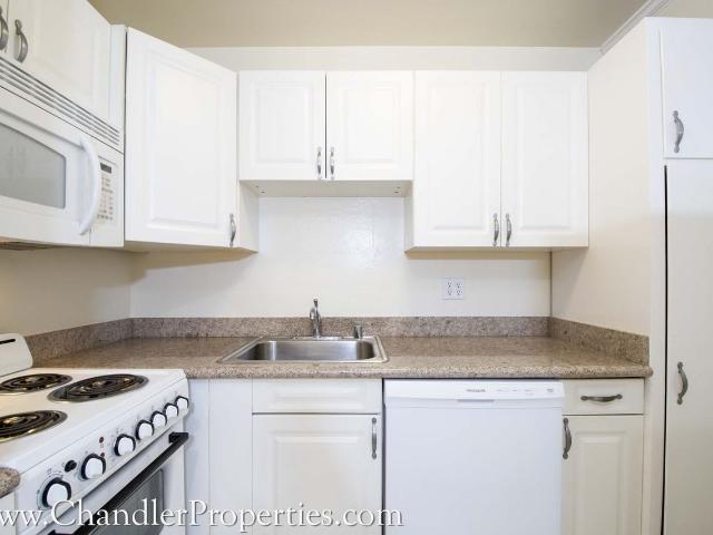1911 Greenwich Street Studio Apartment for Rent at 1911 Greenwich St, San Francisco, CA 94123 Cow Hollow