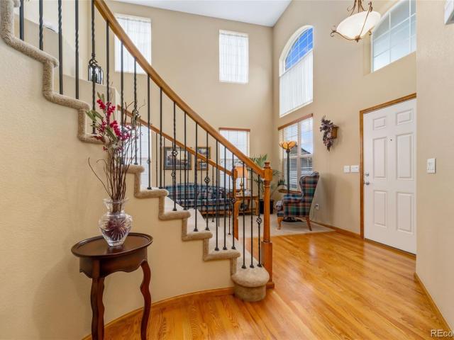 1911 Lodgepole Drive