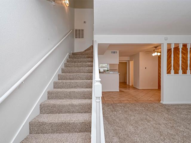1911 Sherwood Forest Street 9