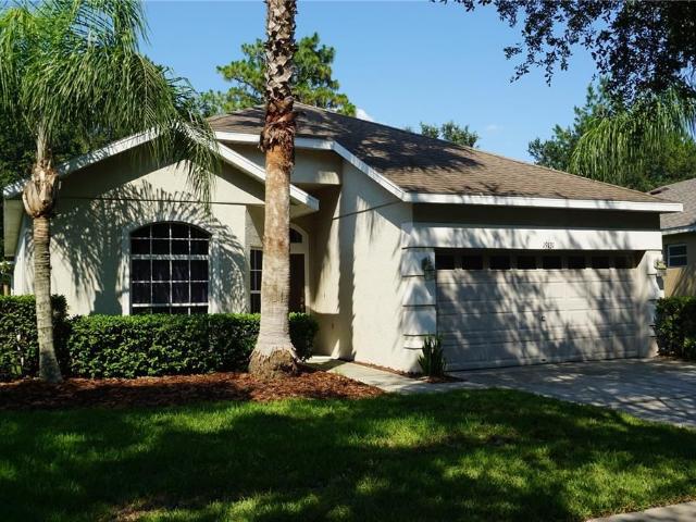 19131 Cypress Reach Lane, Tampa, US, FL