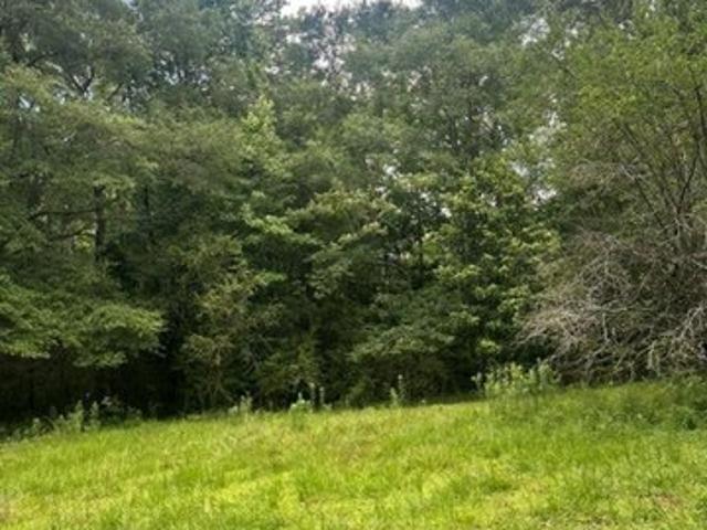 191 Ball Park Rd Lot 1, Birmingham, AL 35043
