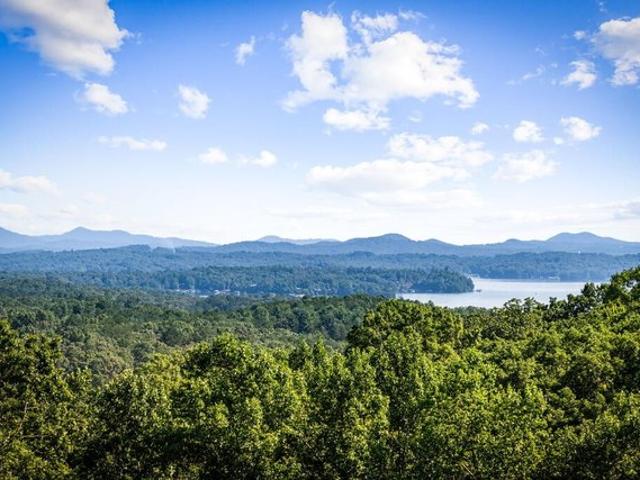 191 Green Ridge Rd, Blue Ridge, GA 30513