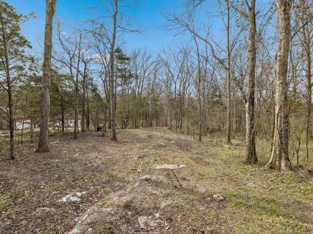 191 Gwin Pl, Mount Juliet, TN 37122