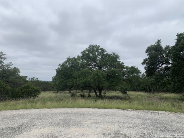 191 Indian Blanket Pl, Spring Branch, TX 78070 | MLS #1878 | Compass