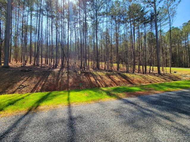 191 Mountaingate Way, Ellijay, GA 30540 | MLS #429291
