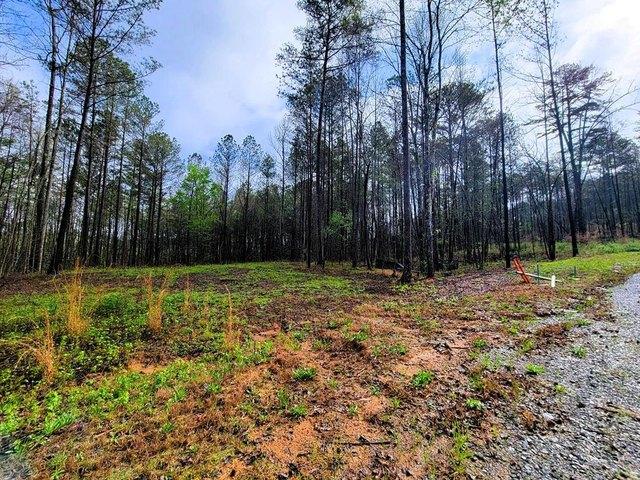 191 Mountaingate Way Lot 15, Ellijay, GA 30536