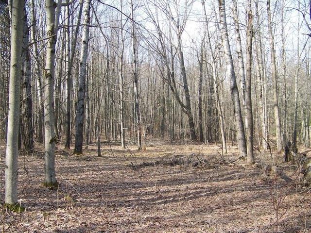 191 West St, Oneonta, NY 13820