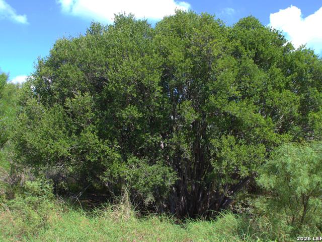 19268 A Hwy. 85