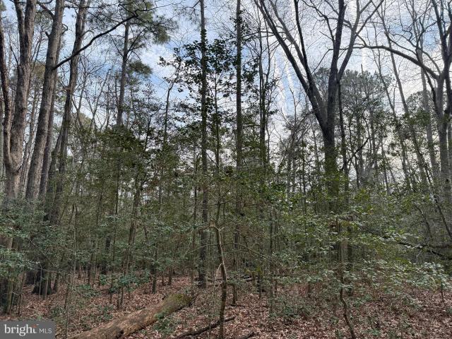 19285 Vanderhoof Ln, Valley Lee, MD 20692 | MLS #MDSM2028 | Compass