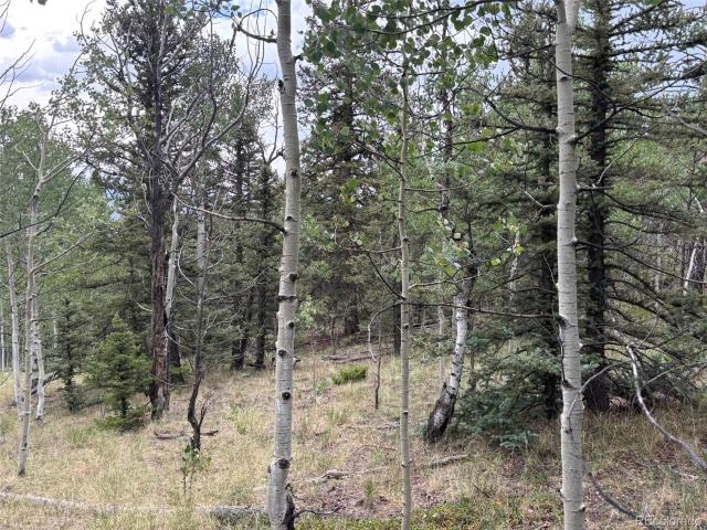 1928 Wells Fargo Cir, Jefferson, CO 80456 | MLS #1924