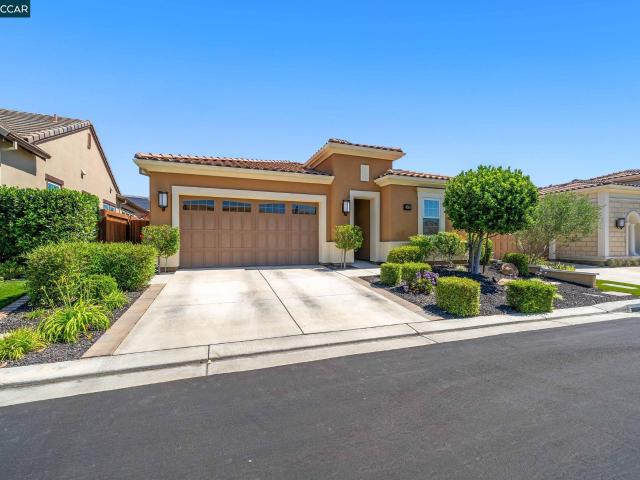 1929 Burgundy Lane