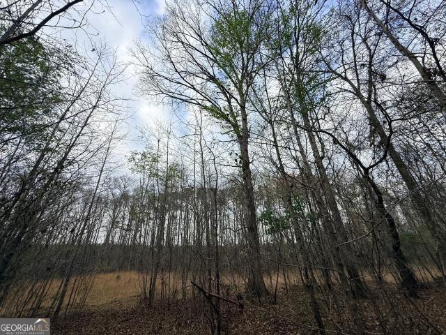 1929 Sharon St, Crawfordville, GA 30631 | MLS #10723