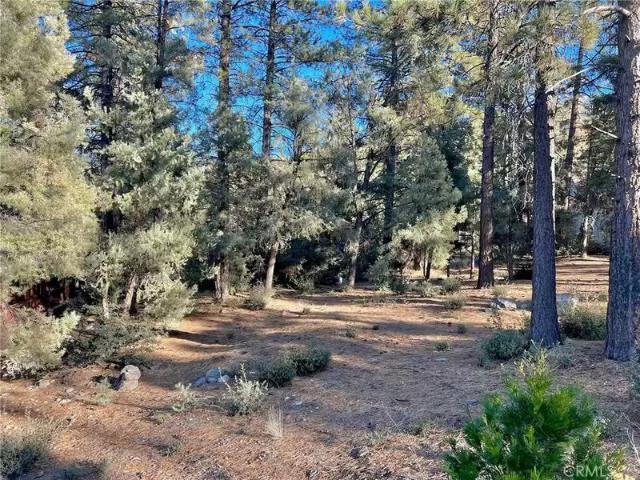 1920 BERNINA DR, PINE MOUNTAIN CLUB, CA 93222 Vacant Land For.