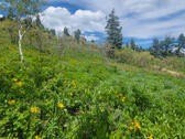 1920 W Elk Rd, Coalville, UT 84017