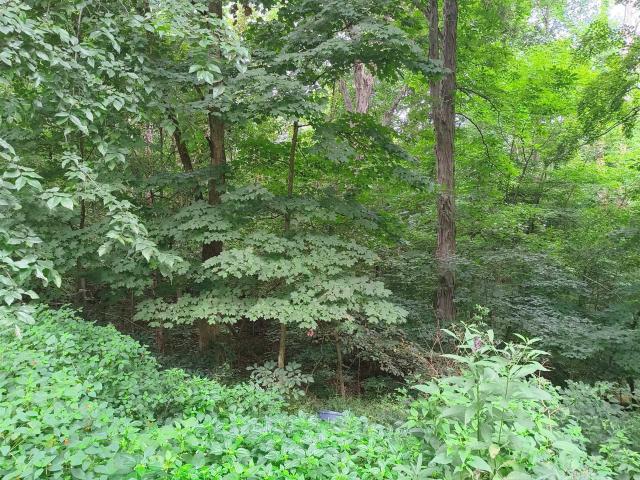 1921 Country Club Road