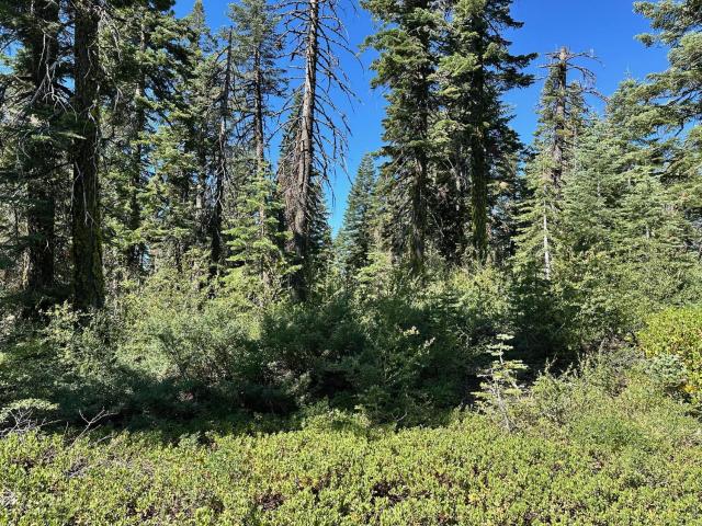 19231 Marsh Mill Rd, Nevada City, CA 95959 | MLS #226010