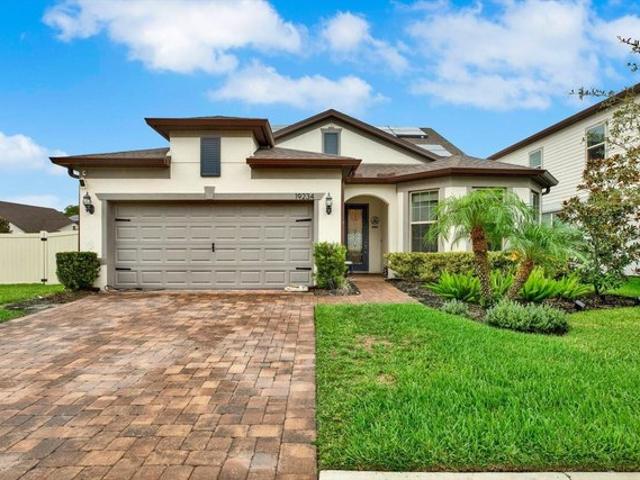 19234 Mossy Pine Dr, Tampa, FL 33647