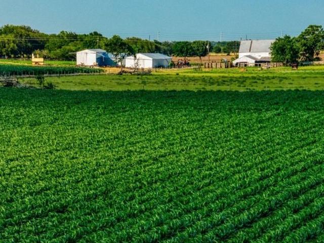1923 Beasley West End Rd, Beasley, TX 77417
