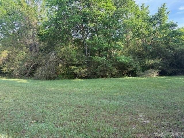 192 Hempstead 336, McCaskill, AR 71847