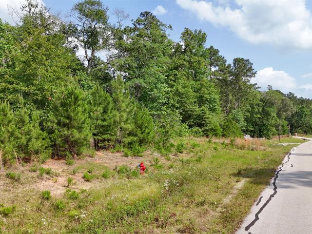 192 Inscription Ln, Huntsville, TX 77340 | MLS #58586