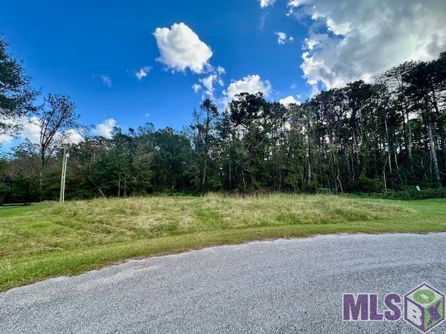 19348 Plantation Trace Dr, Livingston, LA 70754 | MLS #BR2026000