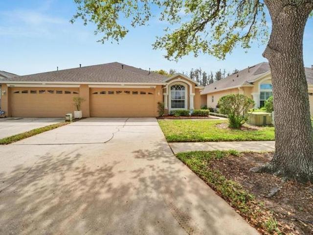 19356 Haskell Pl, Land O Lakes, FL 34638