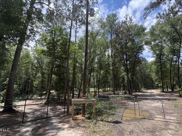 1935 Gator Ln, Vancleave, MS 39565