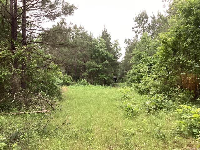 1935 Hwy 24
