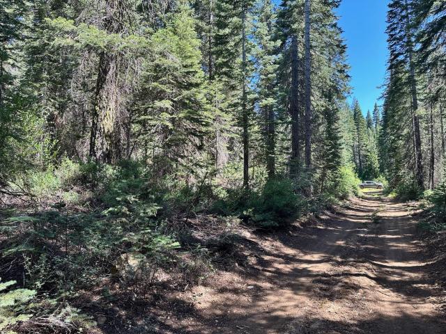 19372 Marsh Mill Rd, Nevada City, CA 95959 | MLS #226010