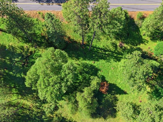 19378 Ferretti Rd