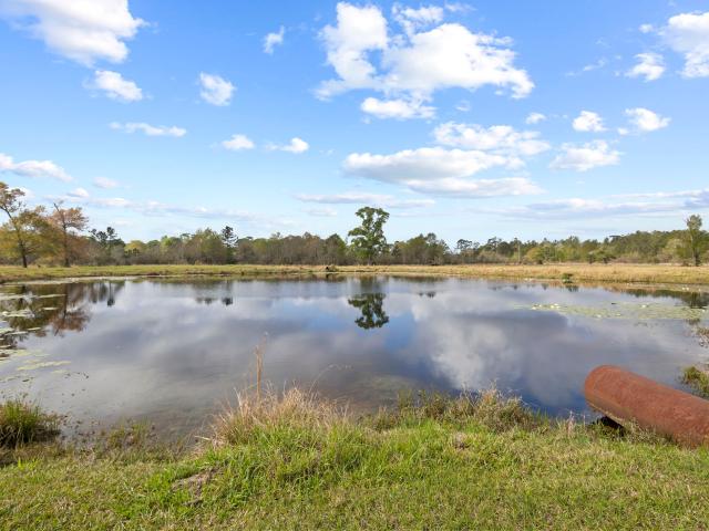 1938 County Road 1520