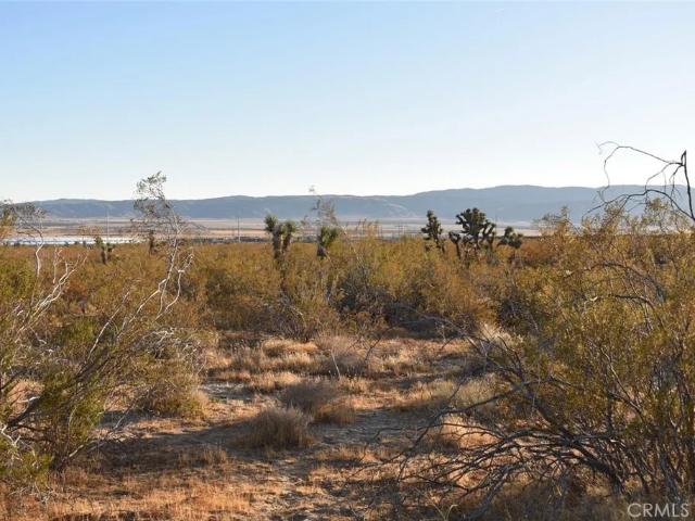19300 Astoria, Rosamond, CA 93560 | MLS #SR26006
