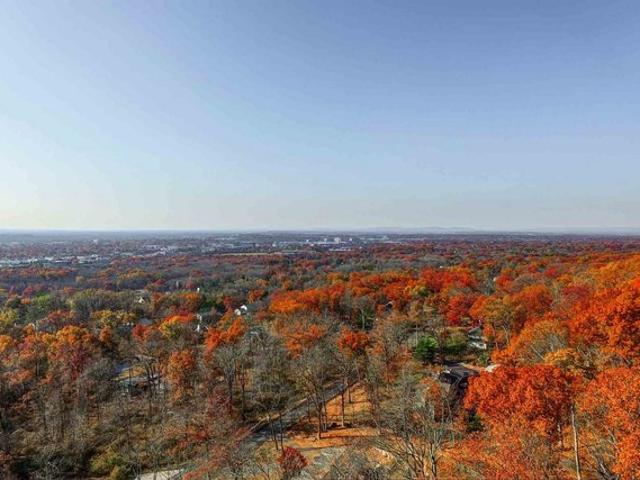 1930 Mountain Top Rd, Bridgewater Twp, NJ 08807