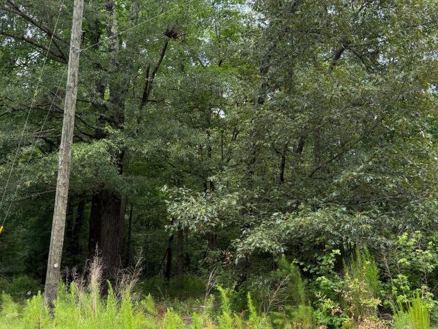 1930 Locust Grove Road
