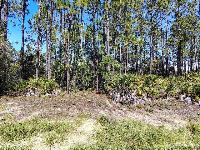 1930 W Wavecrest Dr, Dunnellon, FL 34434