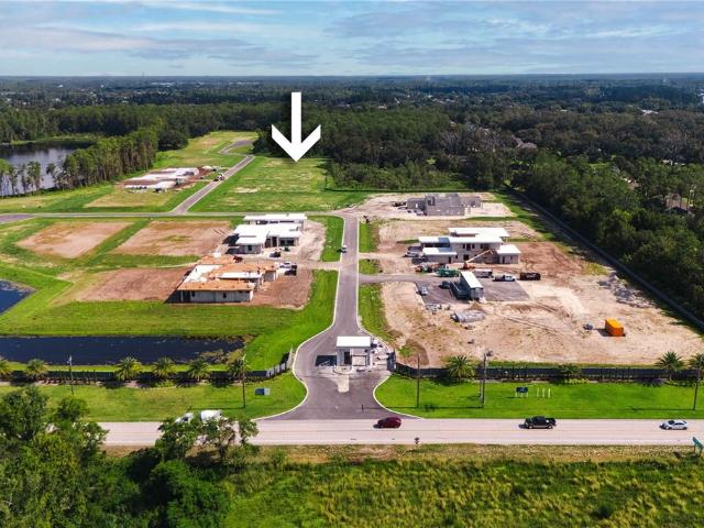 19319 Dimple Dr, Odessa, FL 33556 | MLS #TB8412