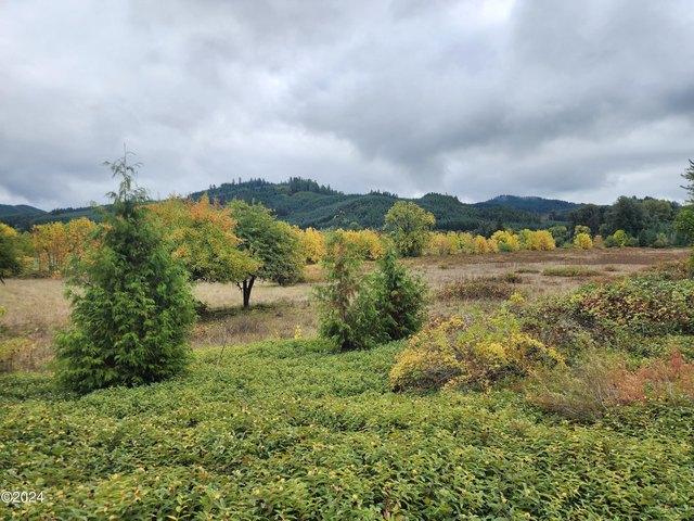 19326 Alsea Hwy, Alsea, OR 97324