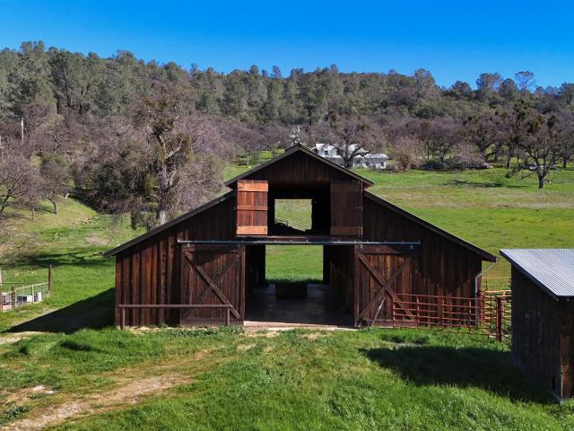 1933 Appaloosa Rd, Angels Camp, CA 95222 | MLS #226014