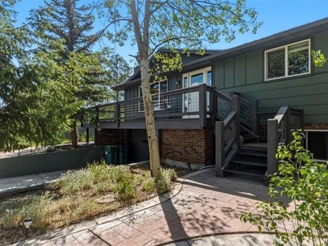 193 Big Elk Rd, Dillon, CO 80435
