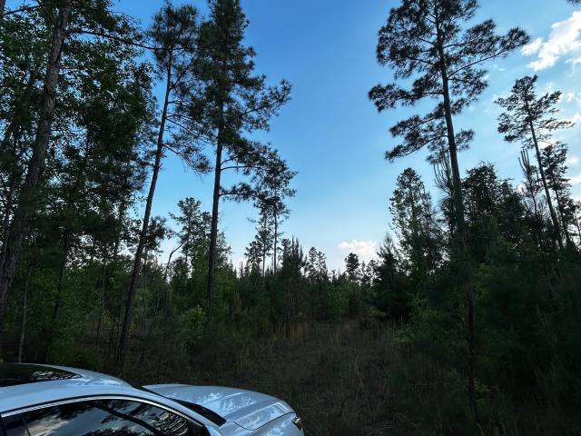 193 Deepstep Road
