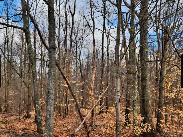 193 Highland Road